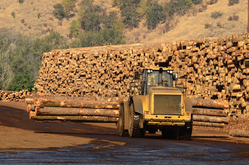 Moving Logs stock image. Image of timber, hauling, loader - 21965631