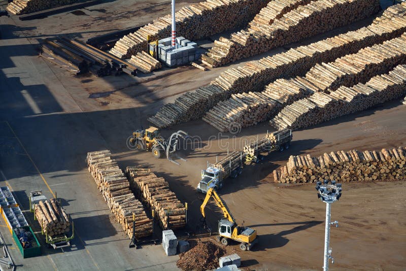 Moving logs at a busy port stock photo. Image of docks - 45892370