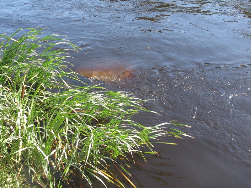 Moving river water stock photo. Image of natural, copy - 60264336