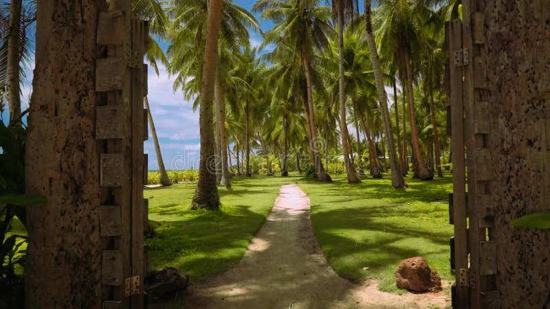 Moving through Rustic Gates To Park with Palm Trees on Lawn Grass ...