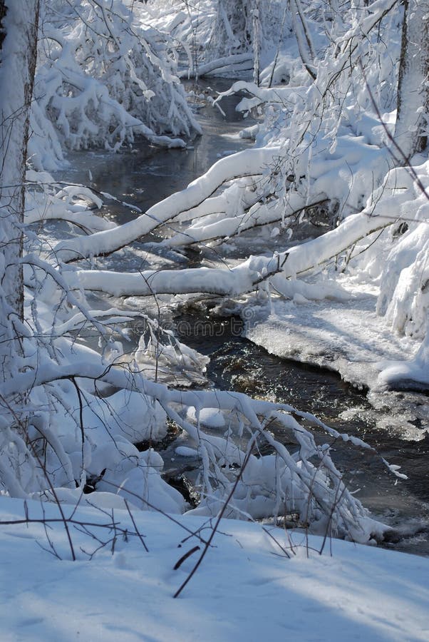 Beautiful Icey Stream after a Winter Blizzard Stock Photo - Image of ...