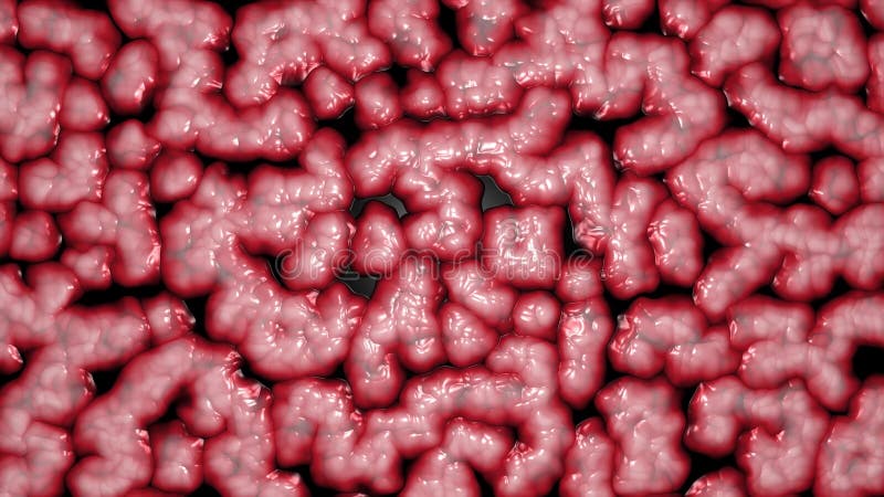 Moving Textures in the Shape of Living Organs Stock Video - Video of microscopic, organic: 180336583