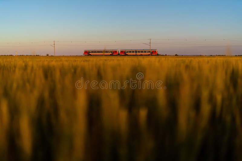 Moving Train in the Wheat Fields Landscape Stock Photo - Image of ...