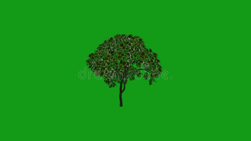 Moving Tree Silhouettes on Four Green Backgrounds. Looped Motion ...