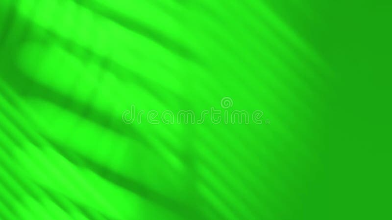 Moving Tree Silhouettes on Four Green Backgrounds. Looped Motion ...
