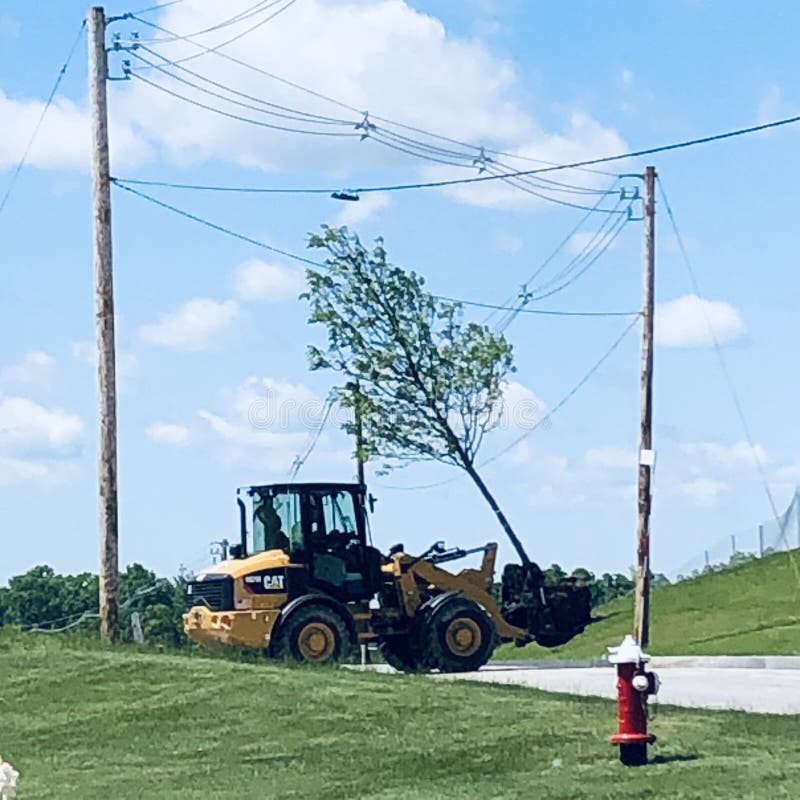 Moving Trees Via Back Hoe Construction Vehicle Editorial Photo - Image ...
