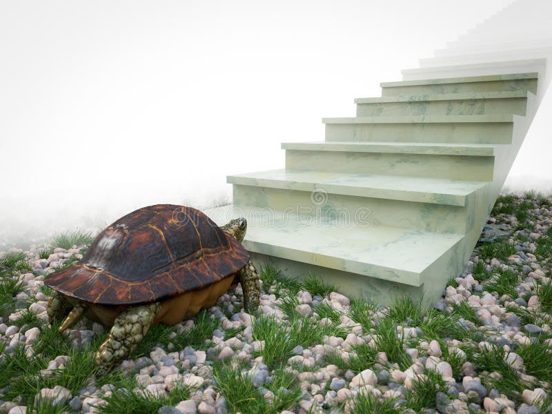 Turtle Climb stock image. Image of gravel, grass, resting - 20115385