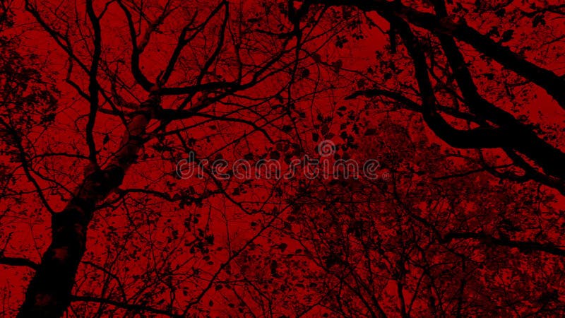 Moving Under Trees Looking Up at Scary Red Sky Stock Video - Video of ...