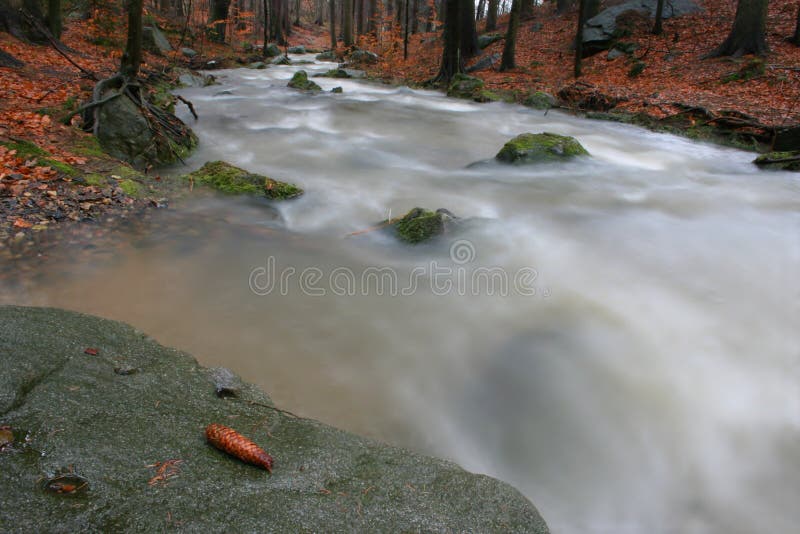 Moving water stock photo. Image of leaf, nature, foot - 4618126