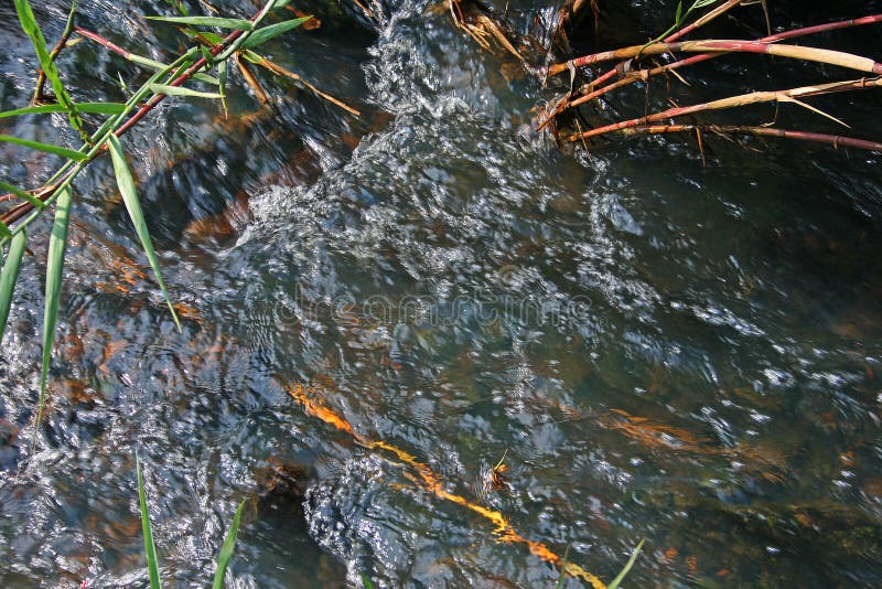 MOVING WATER in a STREAM stock image. Image of colored - 101878279