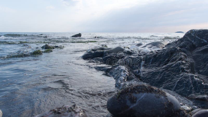 On the Waters Edge at Sunset Beautiful Light on the Water Stock Image ...
