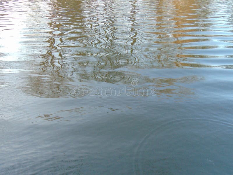Moving Water stock image. Image of trees, winter, water - 47961987