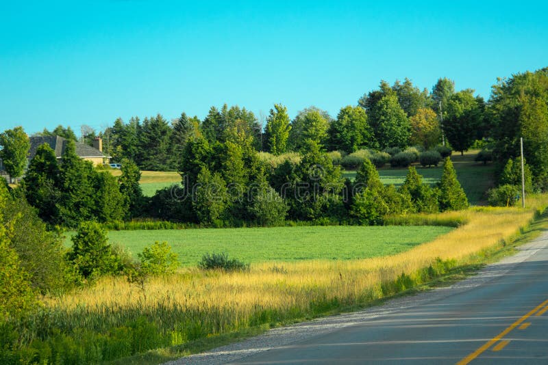 Neatly Mowed Farm Field Stock Image Image Of Meadow 157133521
