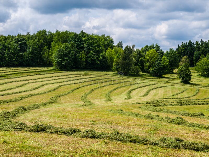 Mowed field stock image. Image of pasture, freshly, curves - 31824389