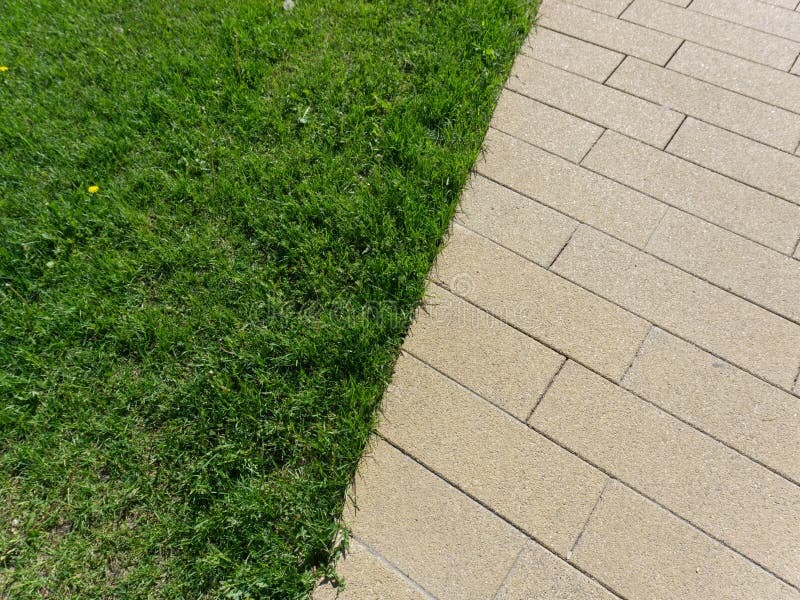 Mowed Grass and a Path. View from Above Stock Photo - Image of outdoor ...