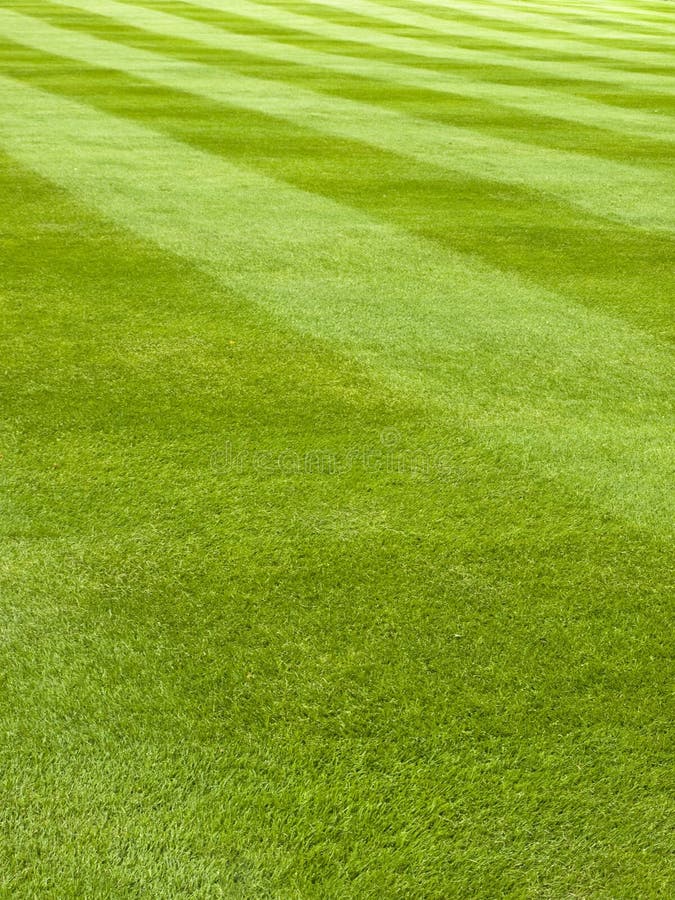 Mowed Grass Pattern Royalty Free Stock Photography - Image: 2652217
