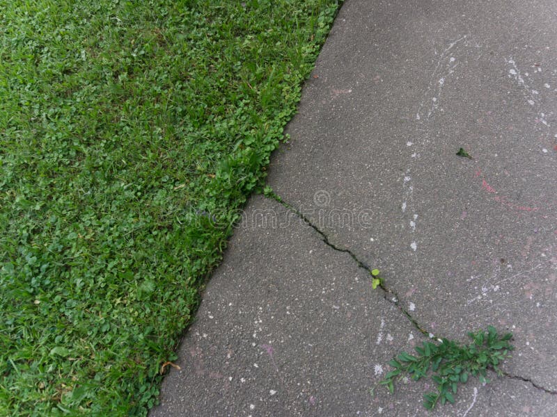Mowed Grass and Paved Path. View from Above Stock Photo - Image of ...