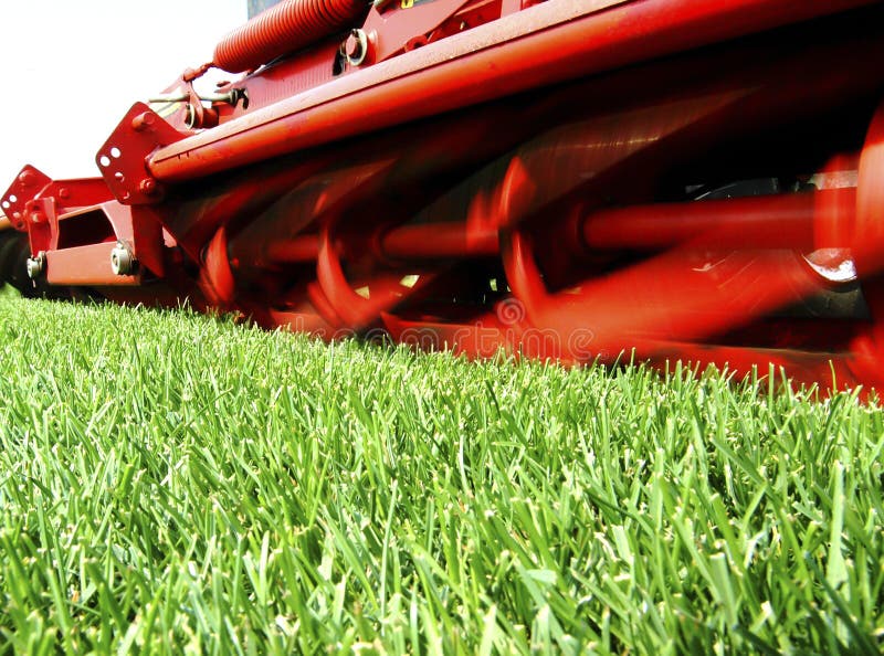 Mower Machine while it is Cutting the Grass Stock Image - Image of ...
