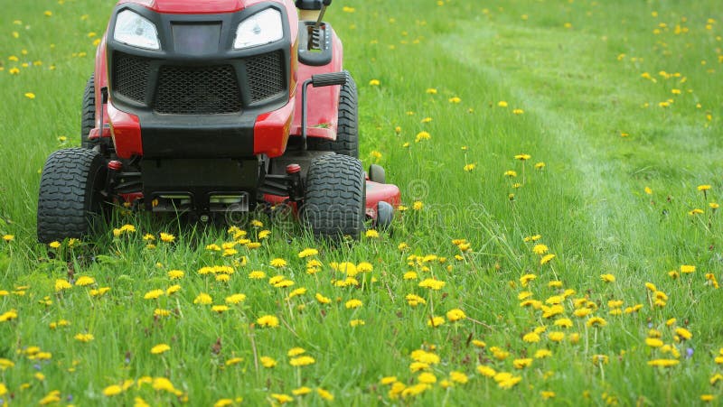Mowing or Cutting the Long Grass with a Lawn Mower . Gardening Concept ...