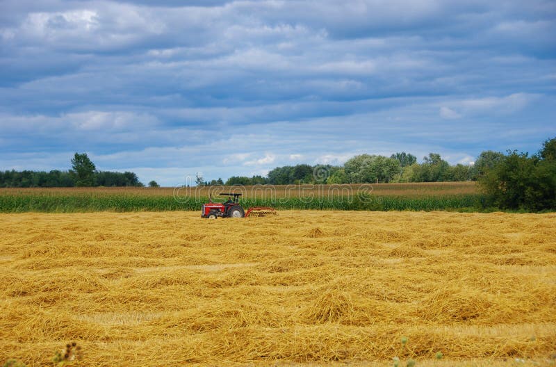 Mowing the Fields of Hay stock image. Image of equipment - 25487773