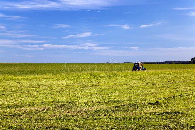 Mowing grass . field. stock photo. Image of grass, meadow - 65103566