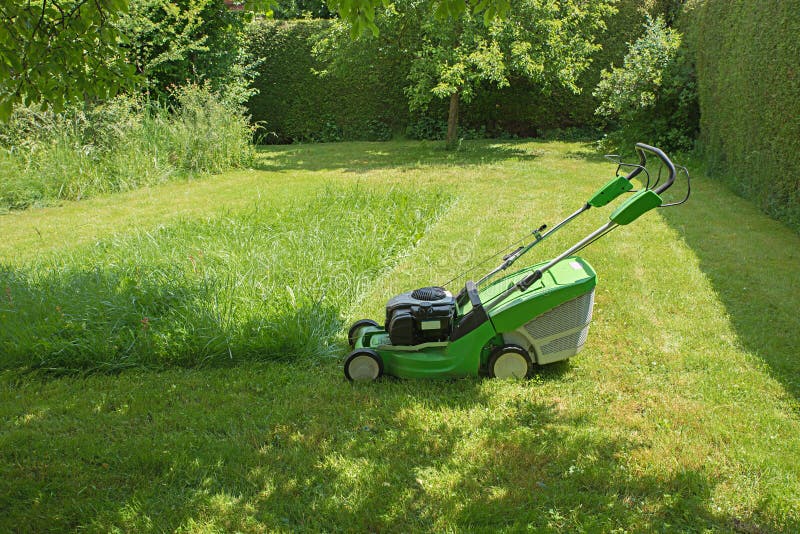 Mowing the Grass in the Home Garden with a Gas Lawnmower, Work Not ...