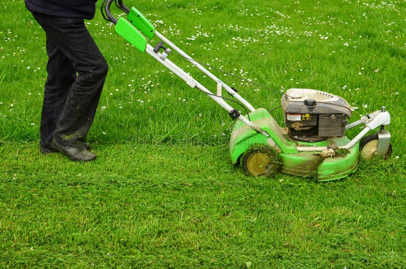 Mowing the grass stock photo. Image of lawnmower, cutting - 42481120