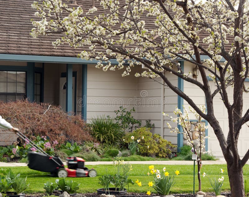 Mowing the Lawn on a Nice Spring Day Stock Photo - Image of yellow ...