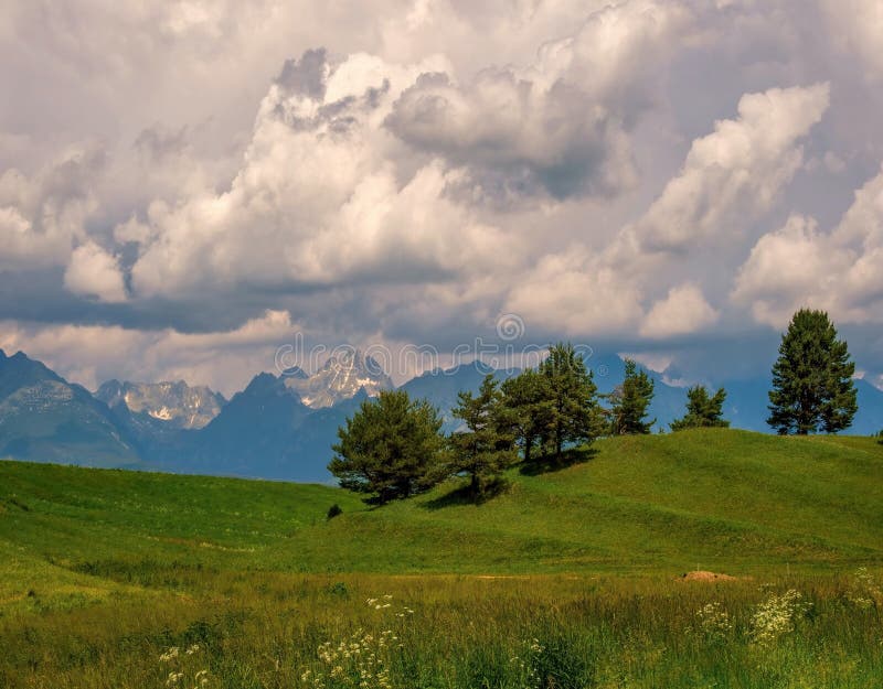 Mowing a Meadow Under Mountain Peaks. Foothill Landscape with Trees and ...