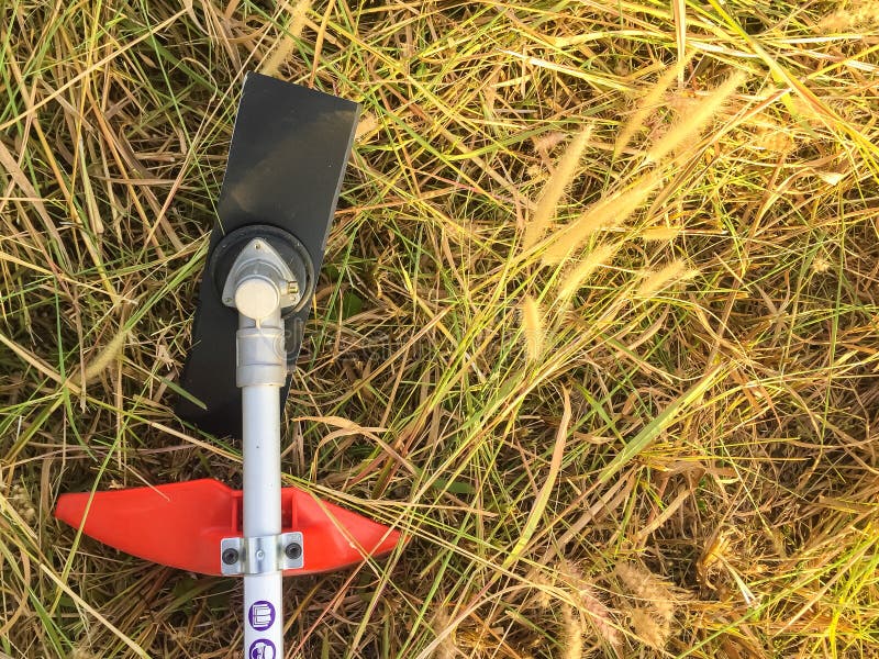 Mowing Trimmer - Cutting Grass Stock Photo - Image of mower, cutting ...