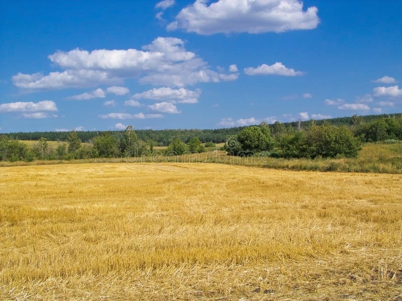 Mown field with a blue sky stock image. Image of country - 67575387