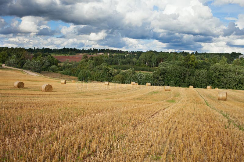 Mown field. stock photo. Image of europe, panorama, meadow - 34855024