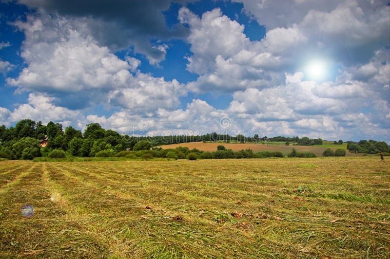 Mown Hay with Lines Spring or Summer Background Stock Image - Image of ...