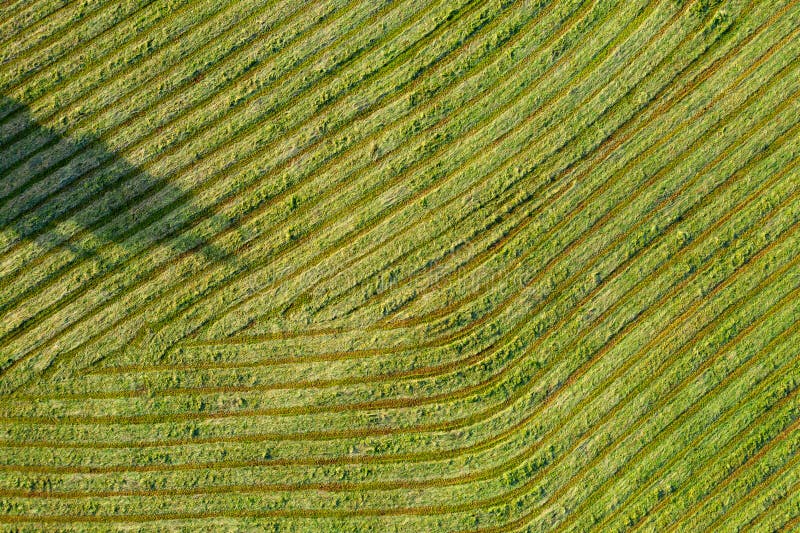 A mown meadow stock photo. Image of landscape, drone - 188381278