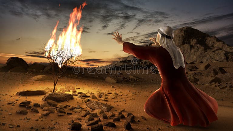 Struik Stock Illustrations, Vectors, & Clipart – (190,223 Stock ...