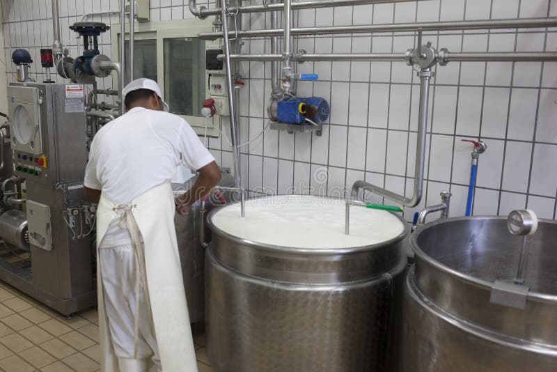 Mozzarella farm editorial image. Image of dairy, excellence - 58699985