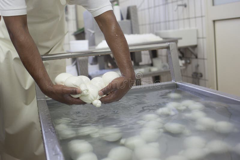 Mozzarella Farm: Hands with Mozzarella Cheese Stock Image - Image of ...