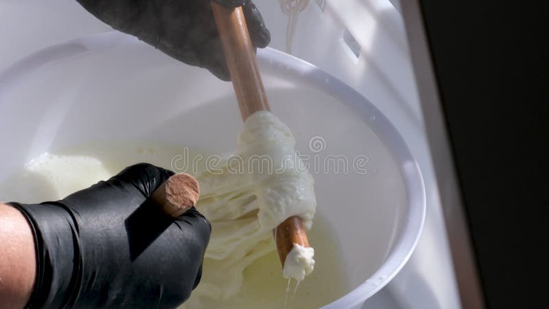 Mozzarella in Hand. Final Steps of Making a Cheese. Italian Hard Cheese ...