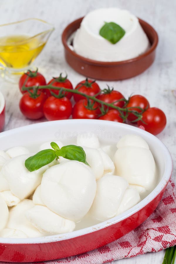 Mozzarella italiana immagine stock. Immagine di mozzarella - 24808319