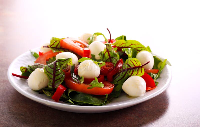 Mozzarella, Vegetable and Herb Healthy Salad Stock Image - Image of ...