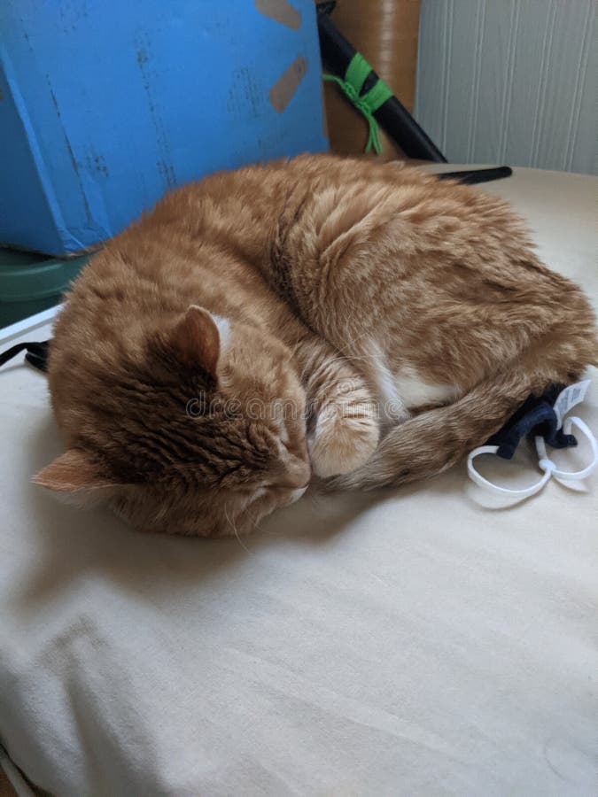 Mr bubbles stock image. Image of sleep, bubbles, mask - 233423275