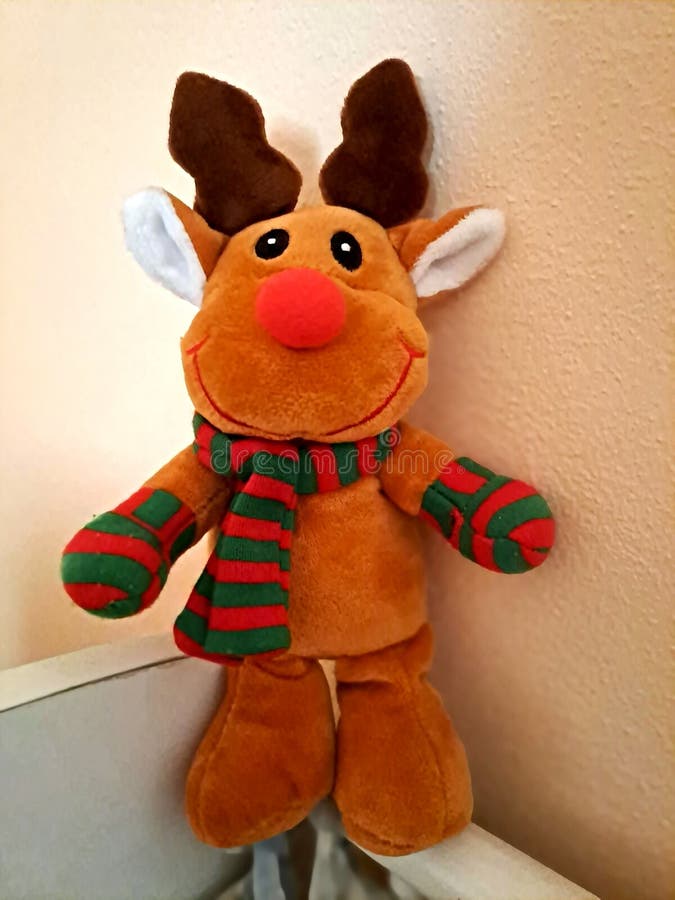 Mr. Rudolf with Red nose stock photo. Image of nice - 268505522