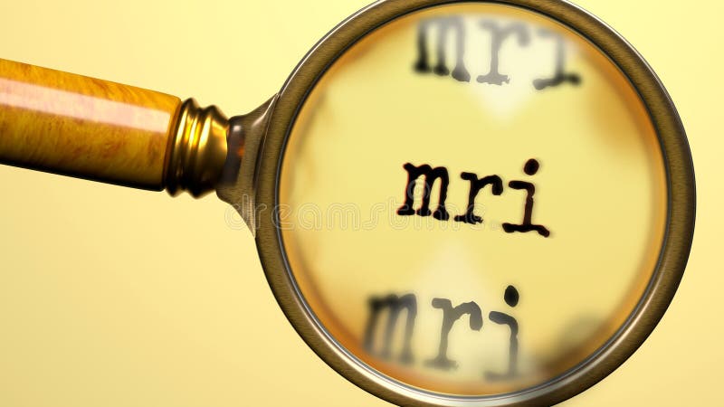 Mri Under Magnifying Glass. Thorough Analysis and Inspection of Mri ...