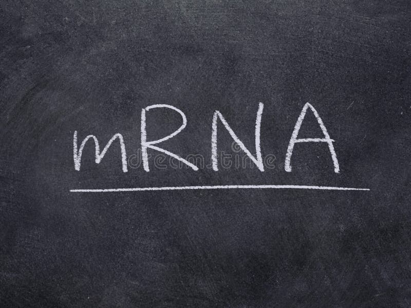 1,452 Mrna Stock Photos - Free & Royalty-Free Stock Photos from Dreamstime