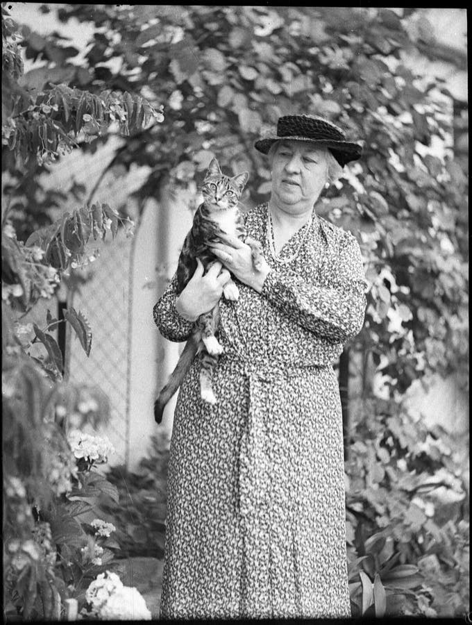 Mrs OE Friend, January 1939, Sam Hood Stock Image - Image of tree ...