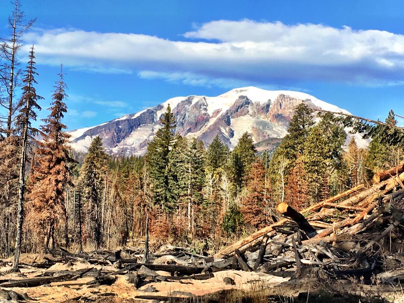 Mt Adams from Cougar Creek Fire Stock Image - Image of mount, utah ...