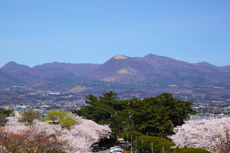 Mt. Akagi and cherry tree stock image. Image of nature - 25558495
