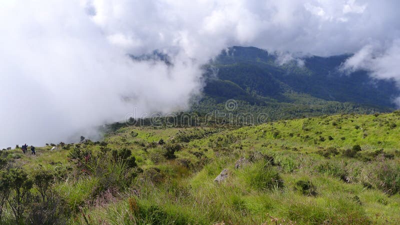 Mt Apo stock photo. Image of grass, biome, philippines - 95224684
