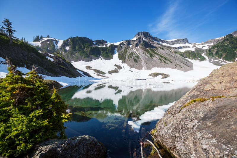 Mt Baker Area stock image. Image of national, pine, recreation - 102914845