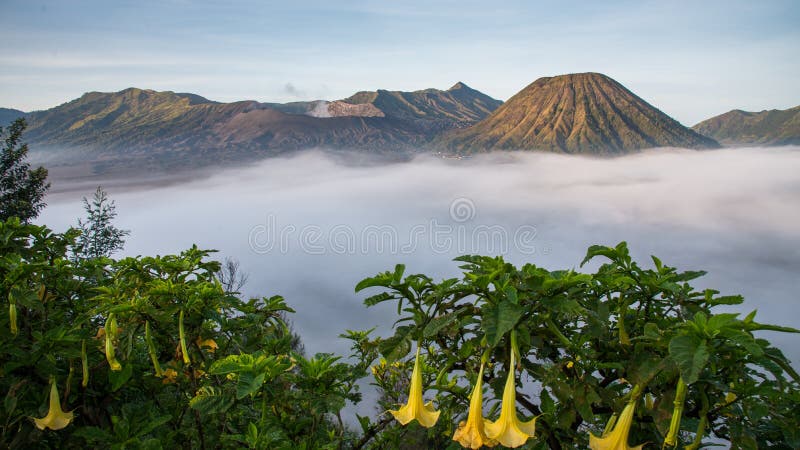 Mt. Bromo with fog stock image. Image of green, environment - 40924033